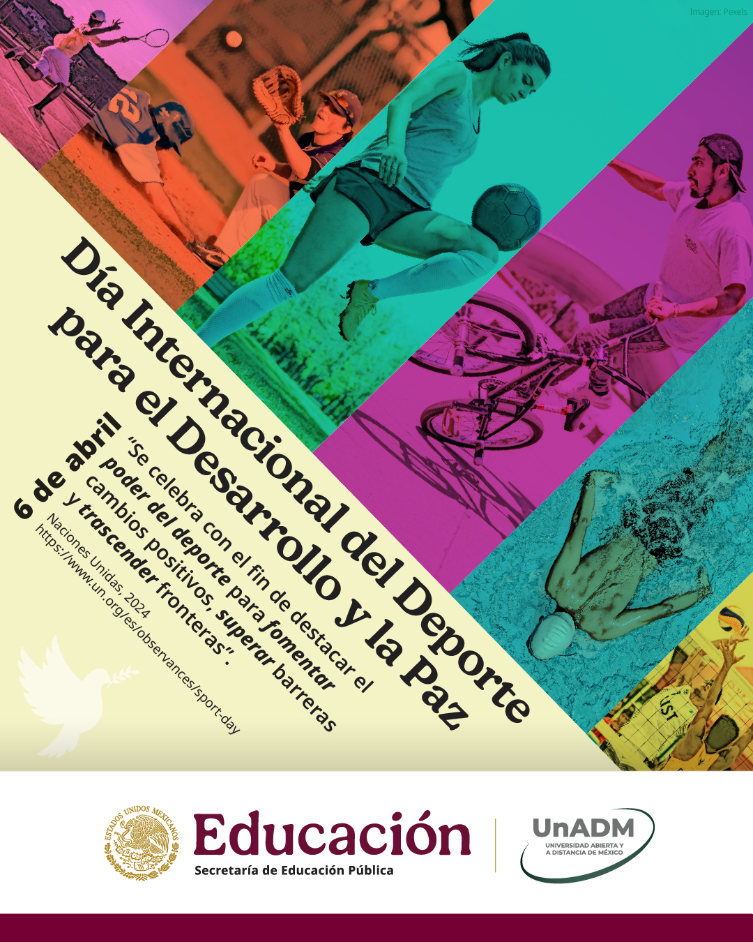 Universidad - 🌍⚽ ¡Celebramos el Deporte para el Desarrollo y la Paz! En ...