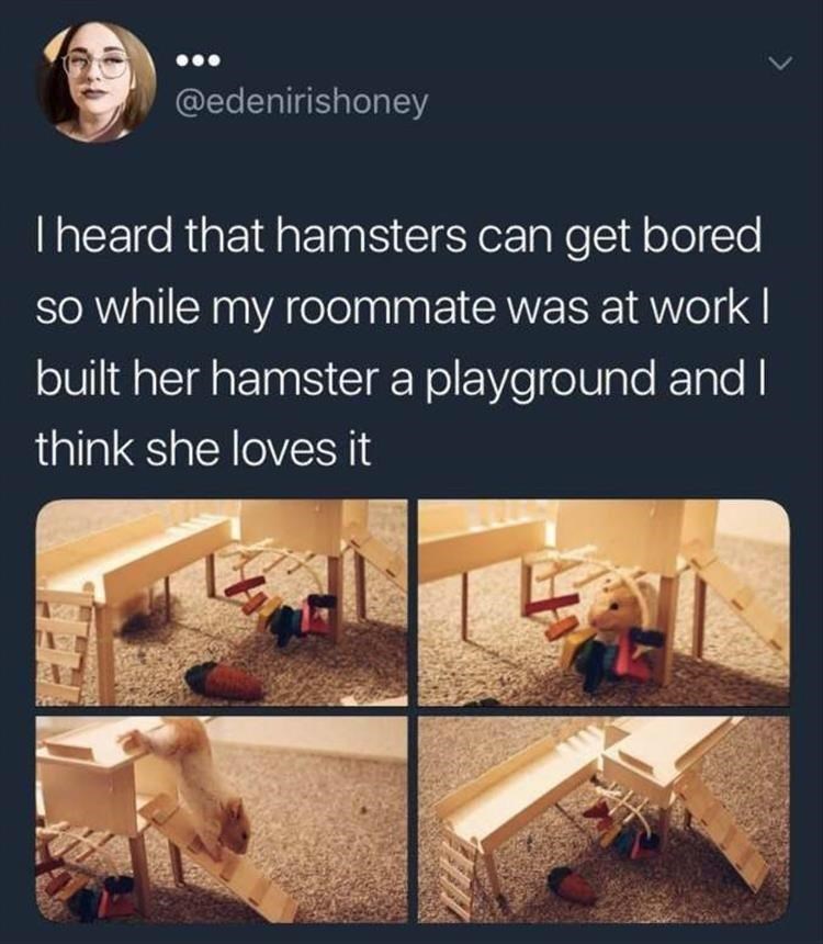 Listables - this is so cute | Facebook