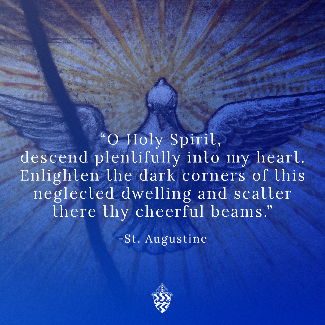 Catholic - Come Holy Spirit! May the Holy Spirit bring light, healing ...