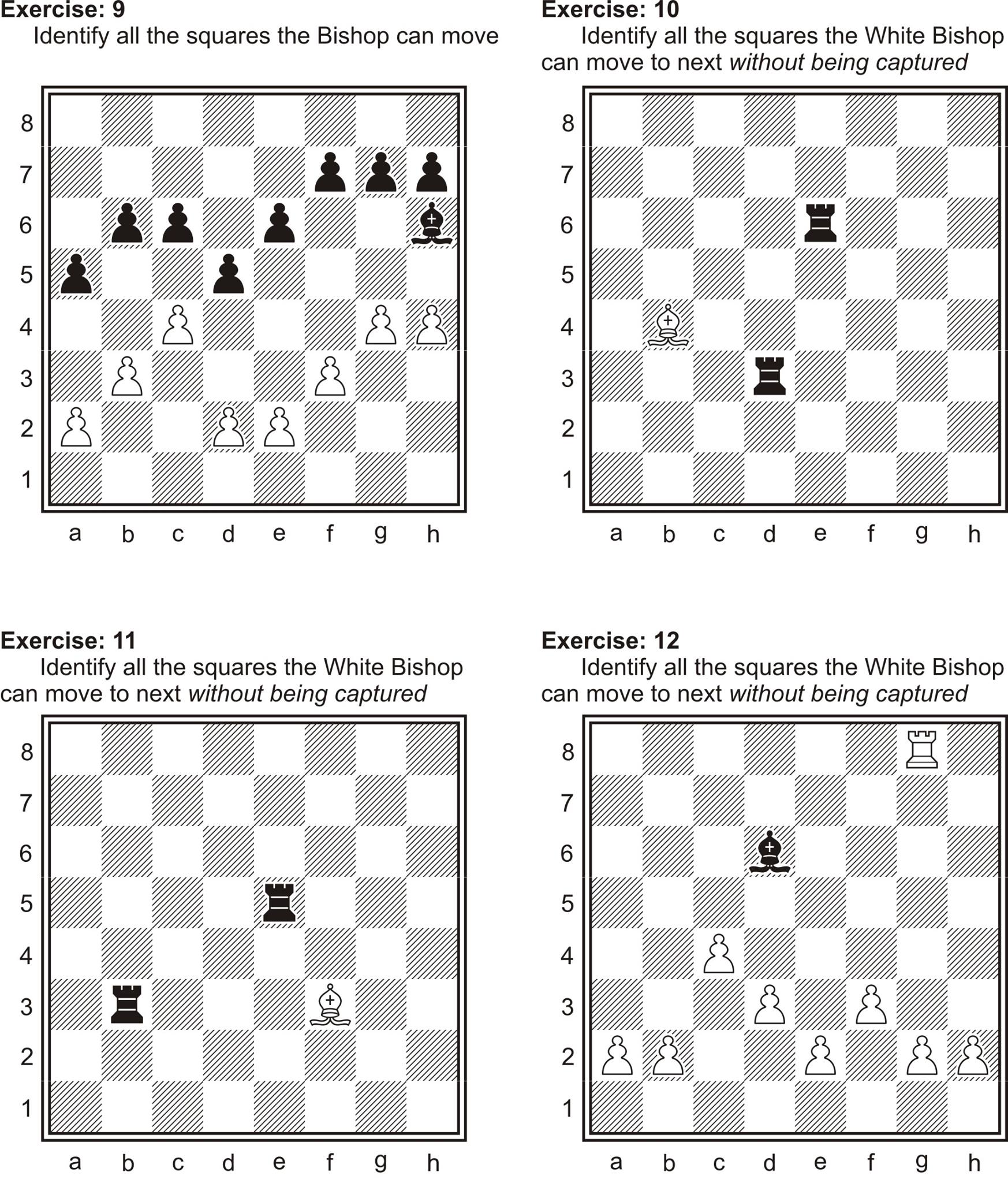 King Chess Foundation