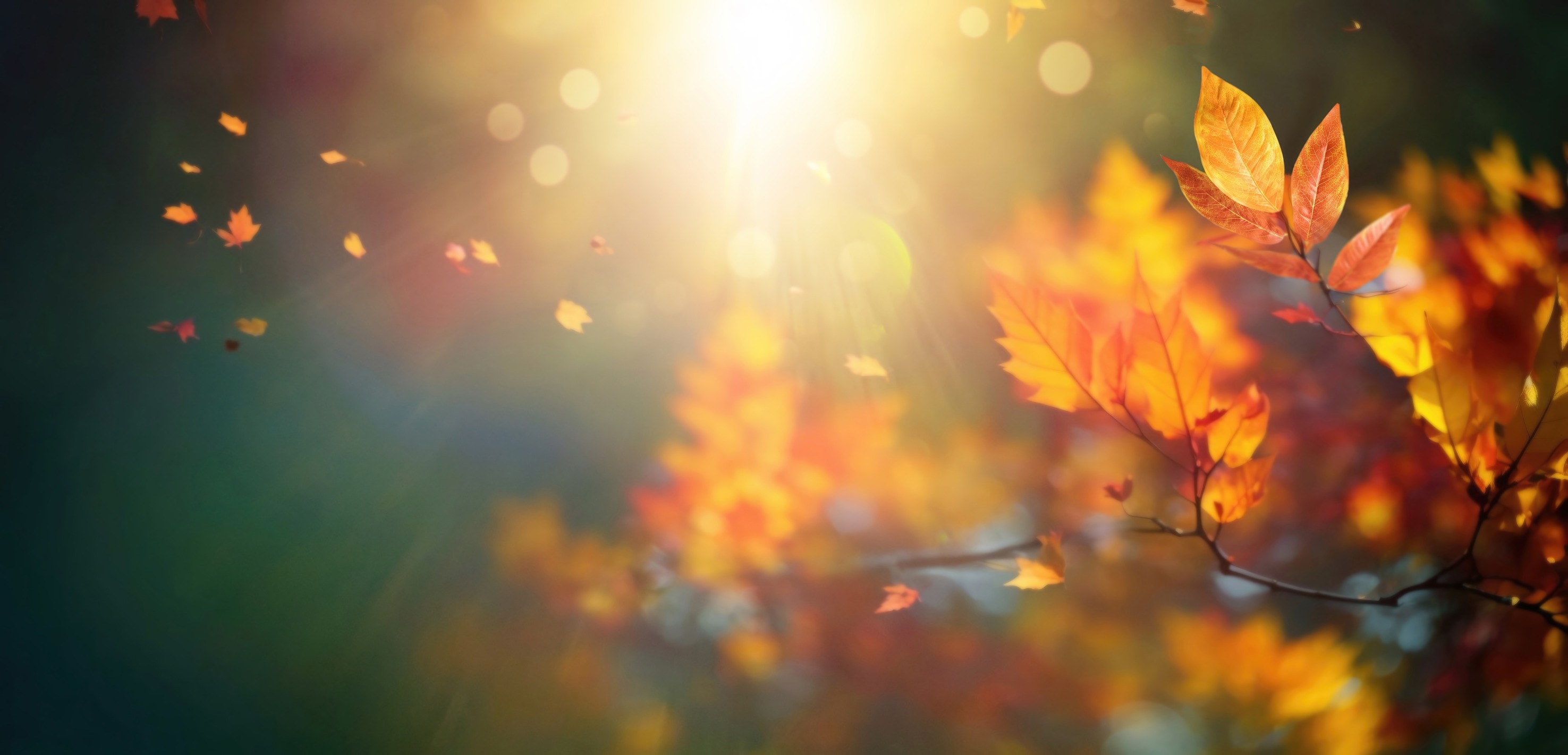 The Salvation - A Prayer for Fall "O God of Creation, We thank you for ...