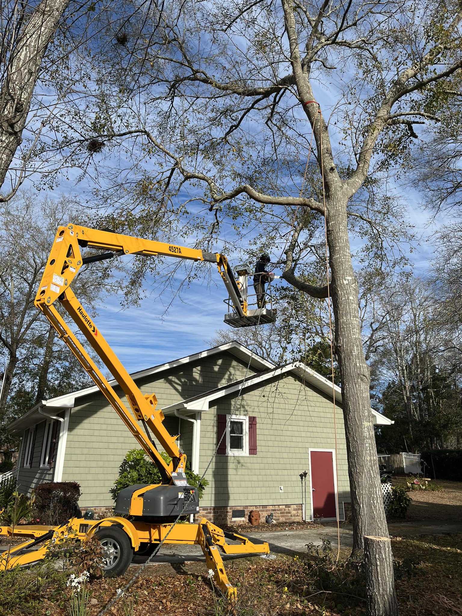 Great Description About Tree Service Myrtle Beach Sc