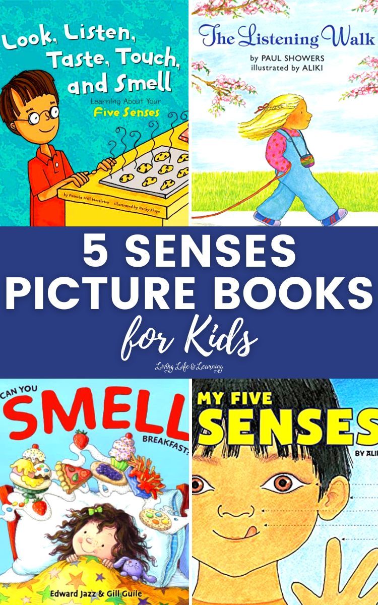 Fun - Check you these recommended 5 Senses Picture Books for Kids to ...