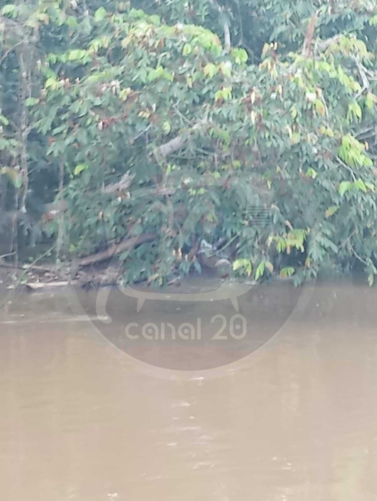 Mitv Canal 20 Mitv Canal 20 Added A New Photo 6265