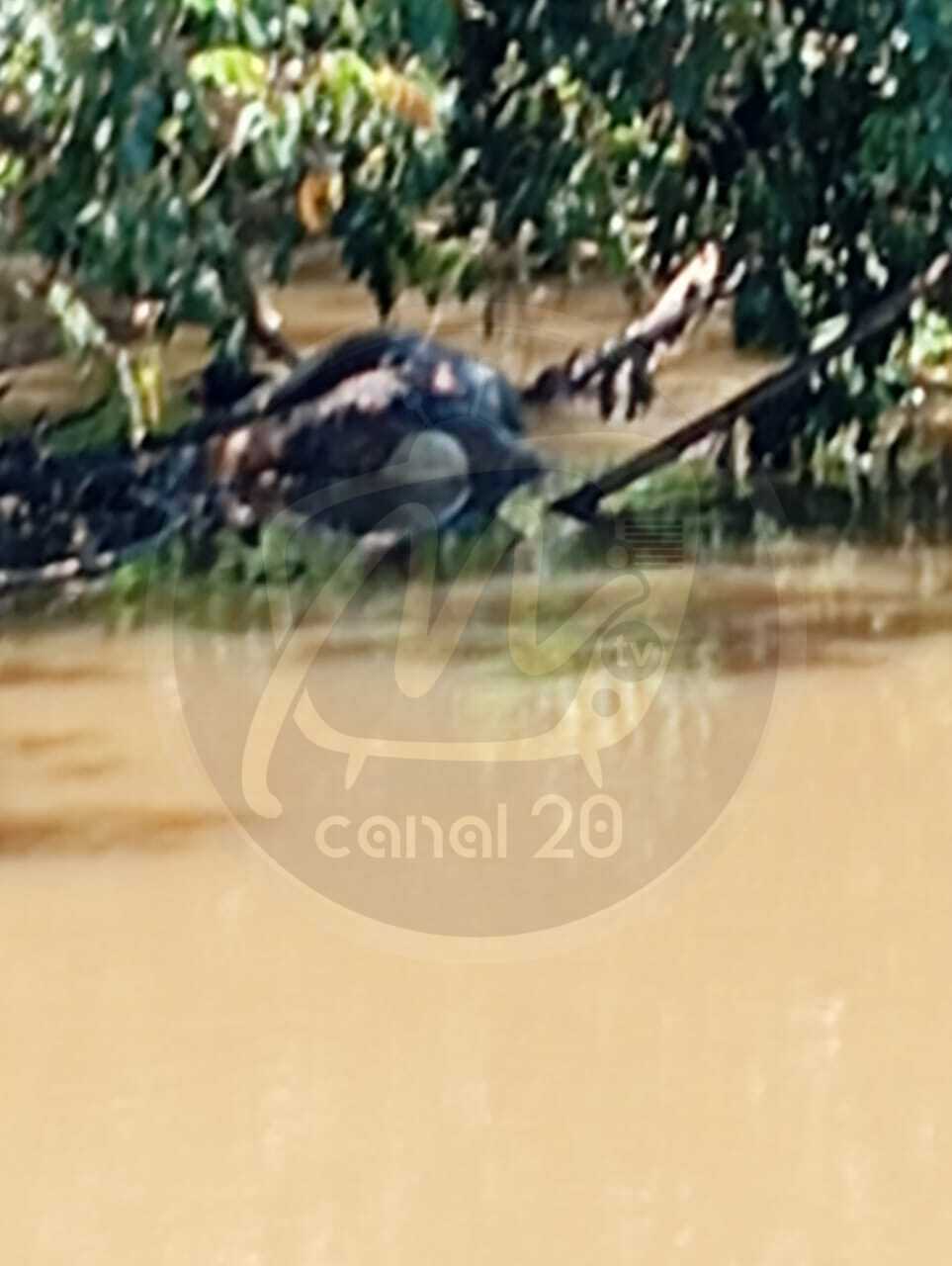 Mitv Canal 20 Mitv Canal 20 Added A New Photo 2415