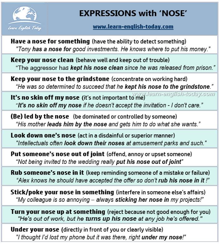 Learn - EXPRESSIONS with ‘NOSE’ More here: https://www.learn-english ...
