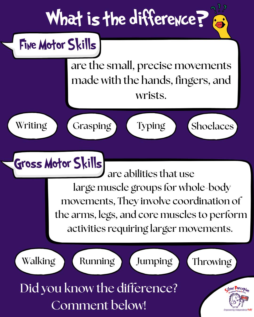 Silver - We talk a lot about 'Fine Motor Skills' and 'Gross Motor ...