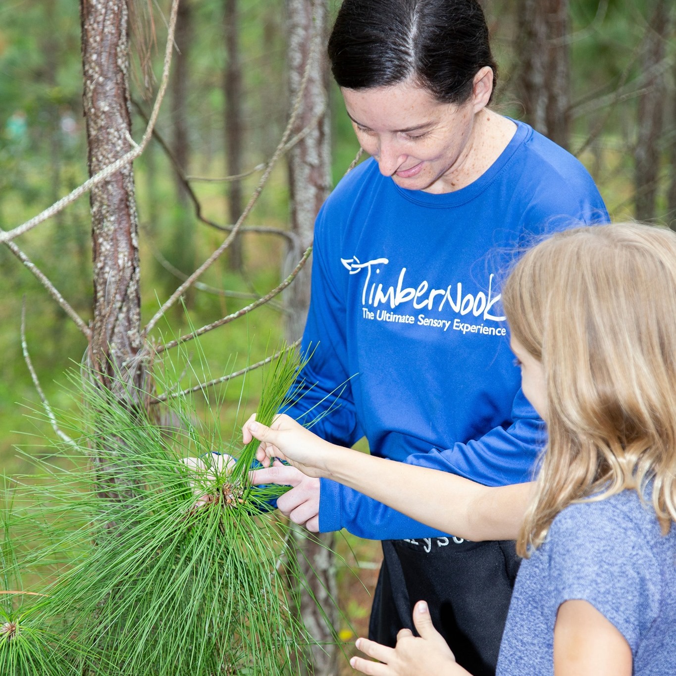 Our Timbernook Programs Are Not Your Treeline Enrichment Facebook
