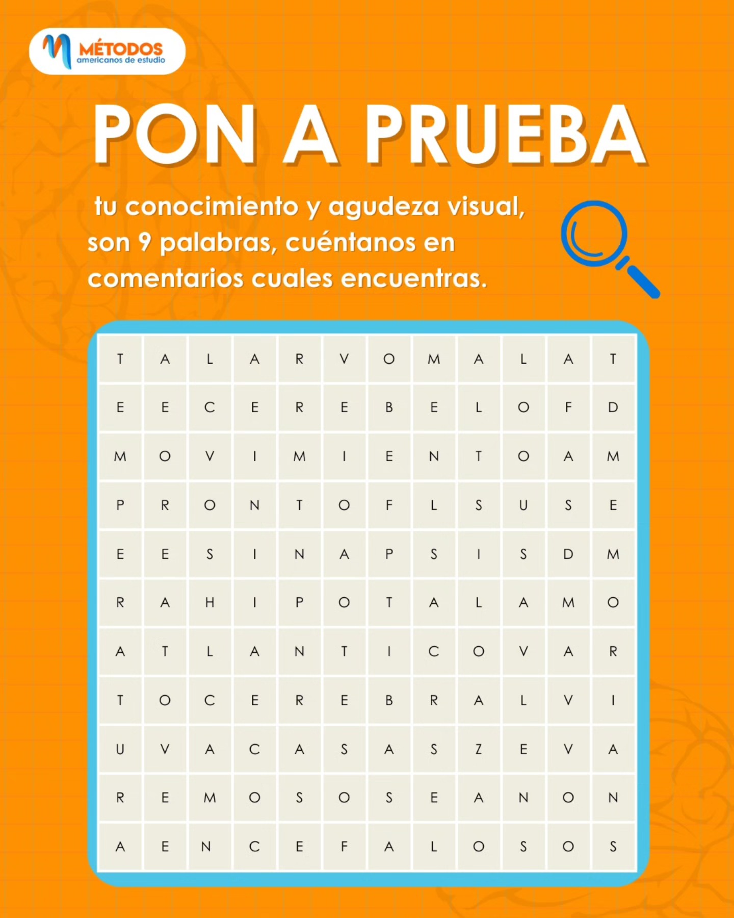 Métodos - 🧠 ¡Pon a prueba tu mente! 🔍 Encuentra las partes del cerebro ...