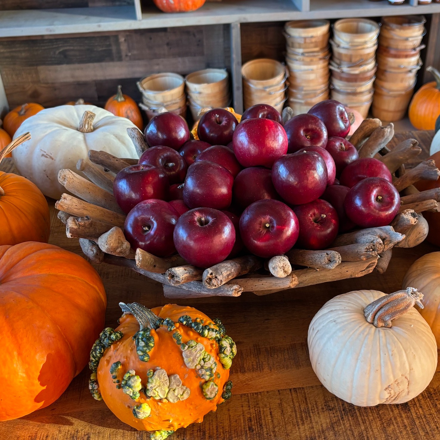 Adam's - * * ORCHARD UPDATE - OCTOBER 25, 2025 * * PUMPKINS - JONATHAN ...