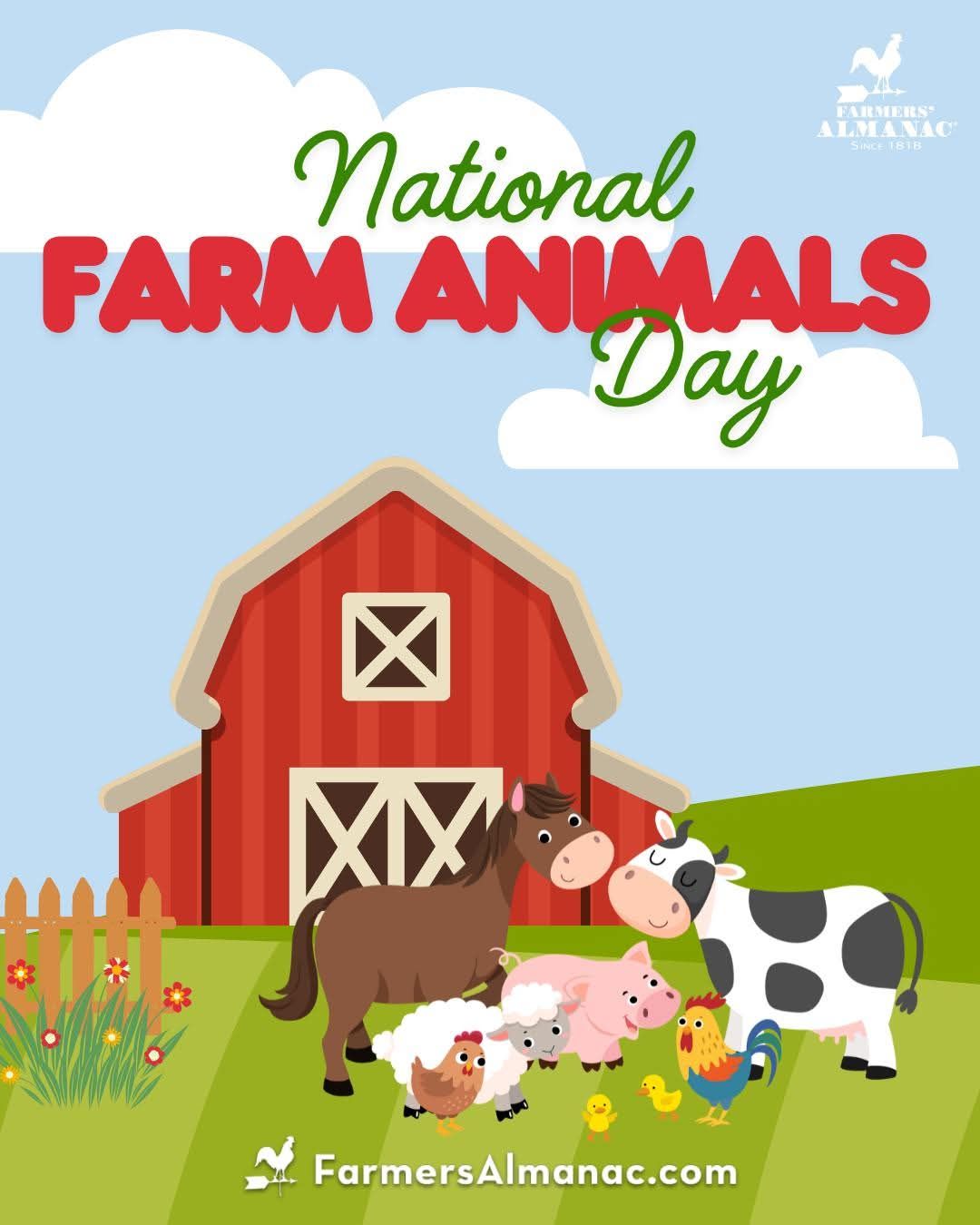 Mountainburg - Happy National Farm Animals Day! 🐄🐖🐓 Today, we celebrate ...