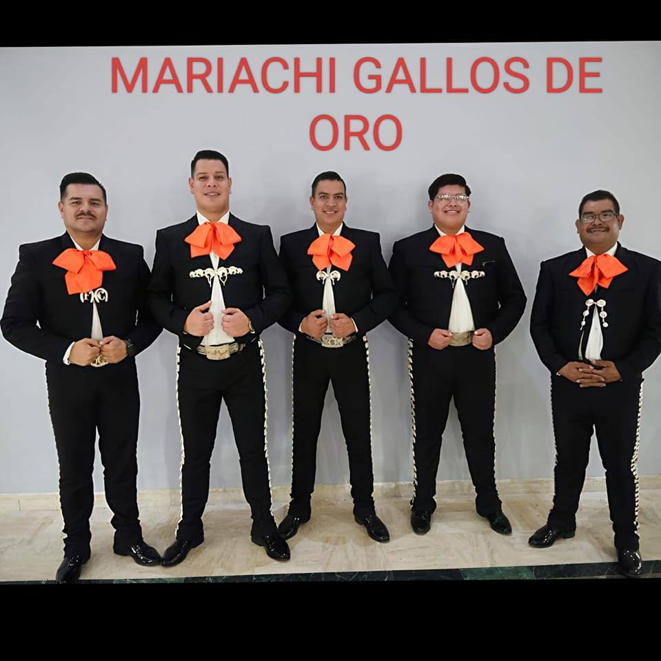 Mariachi Gallos De Oro Gdl