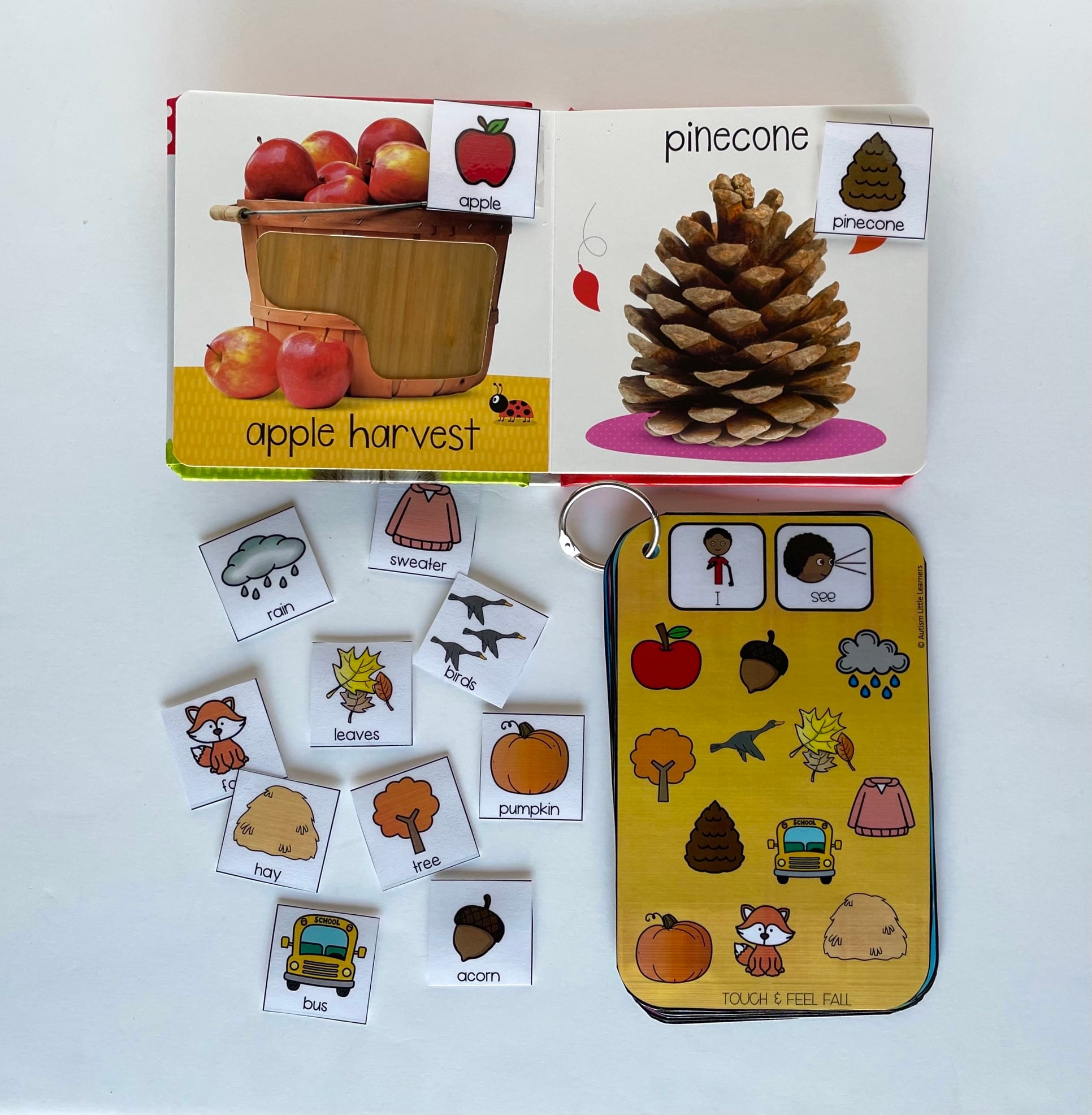 The themed adapted books bundle... - Autism Little Learners