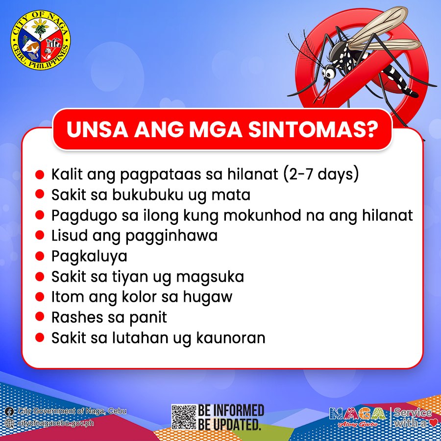 City Government of Naga,... - City Government of Naga, Cebu