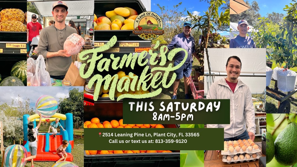 Saturday Farmers Market Sale; Kids Zone, Fruit Trees, U-pick Garden & More