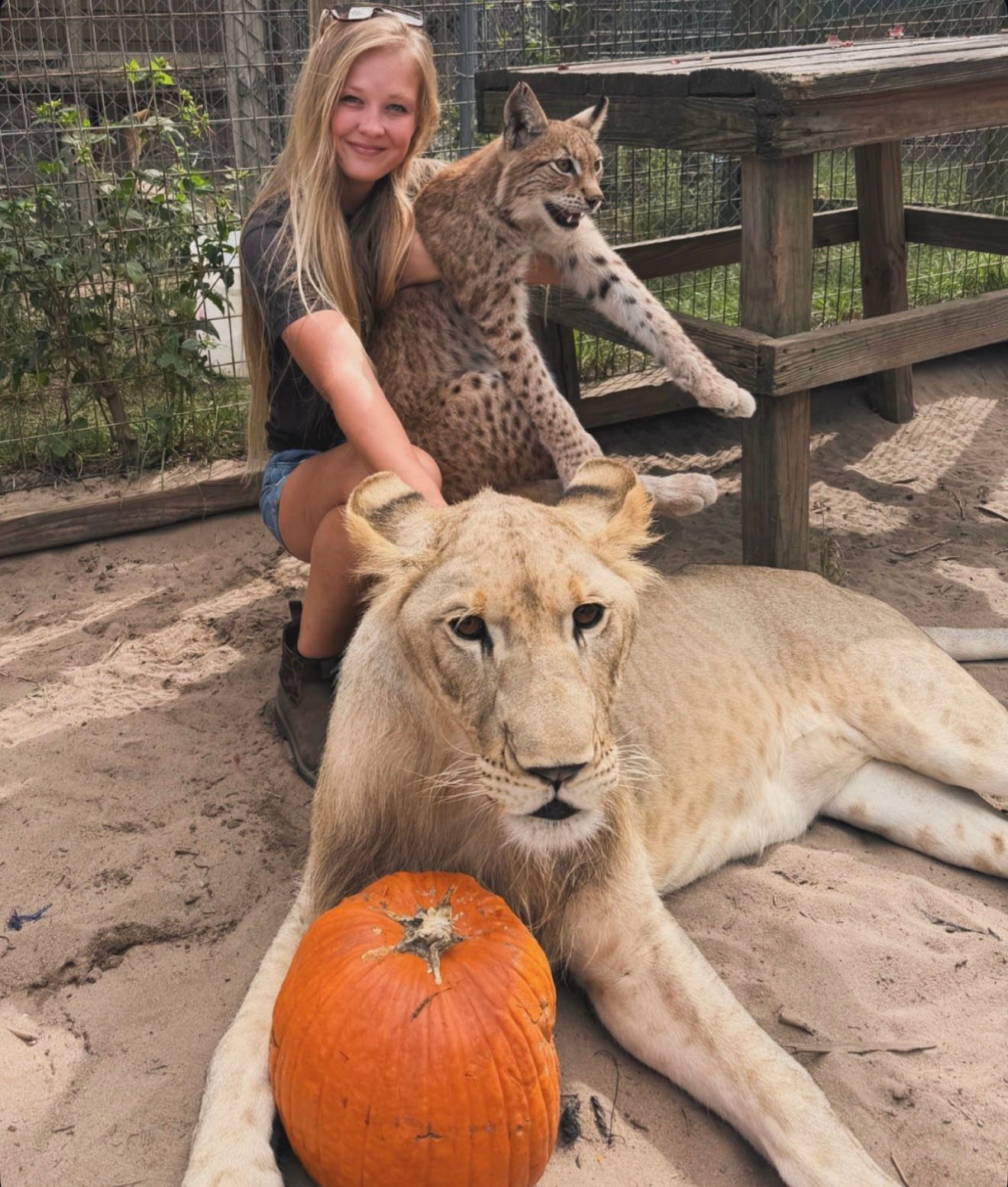 Safari Sammie Safari Sammie Added A New Photo — At
