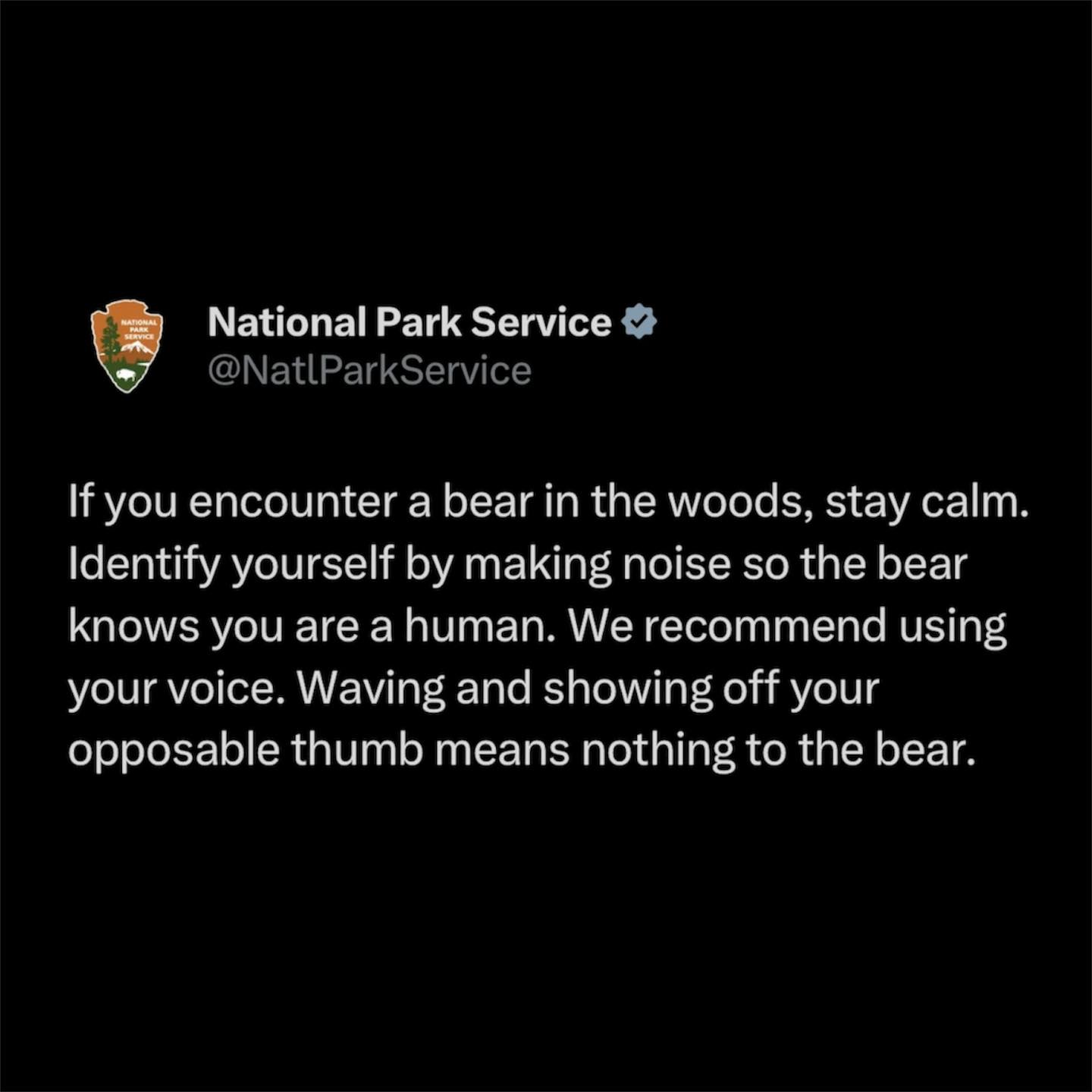 National - If you encounter a bear in the woods, stay calm. ⁣⁣Identify ...