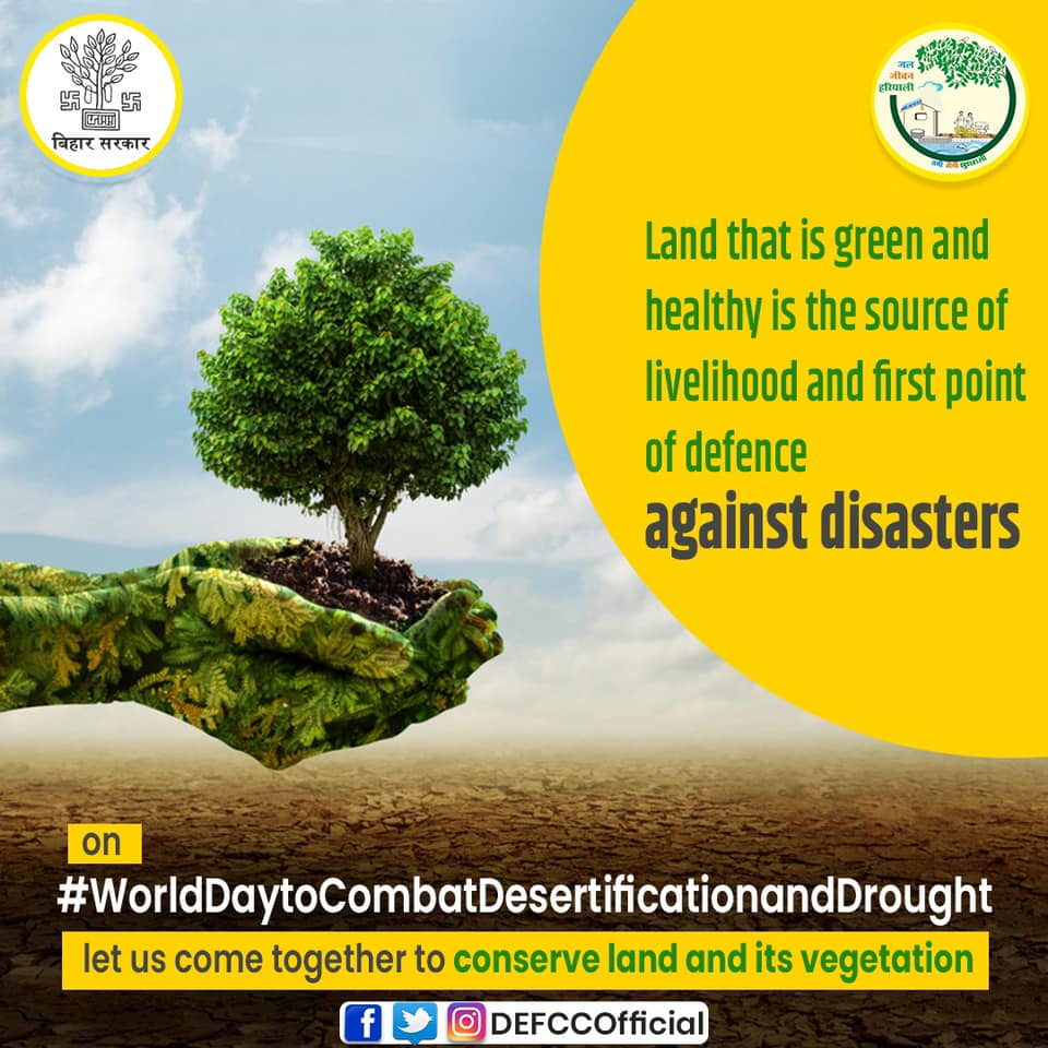 🎋Desertification is the persistent degradation of the dryland ecosystem ...