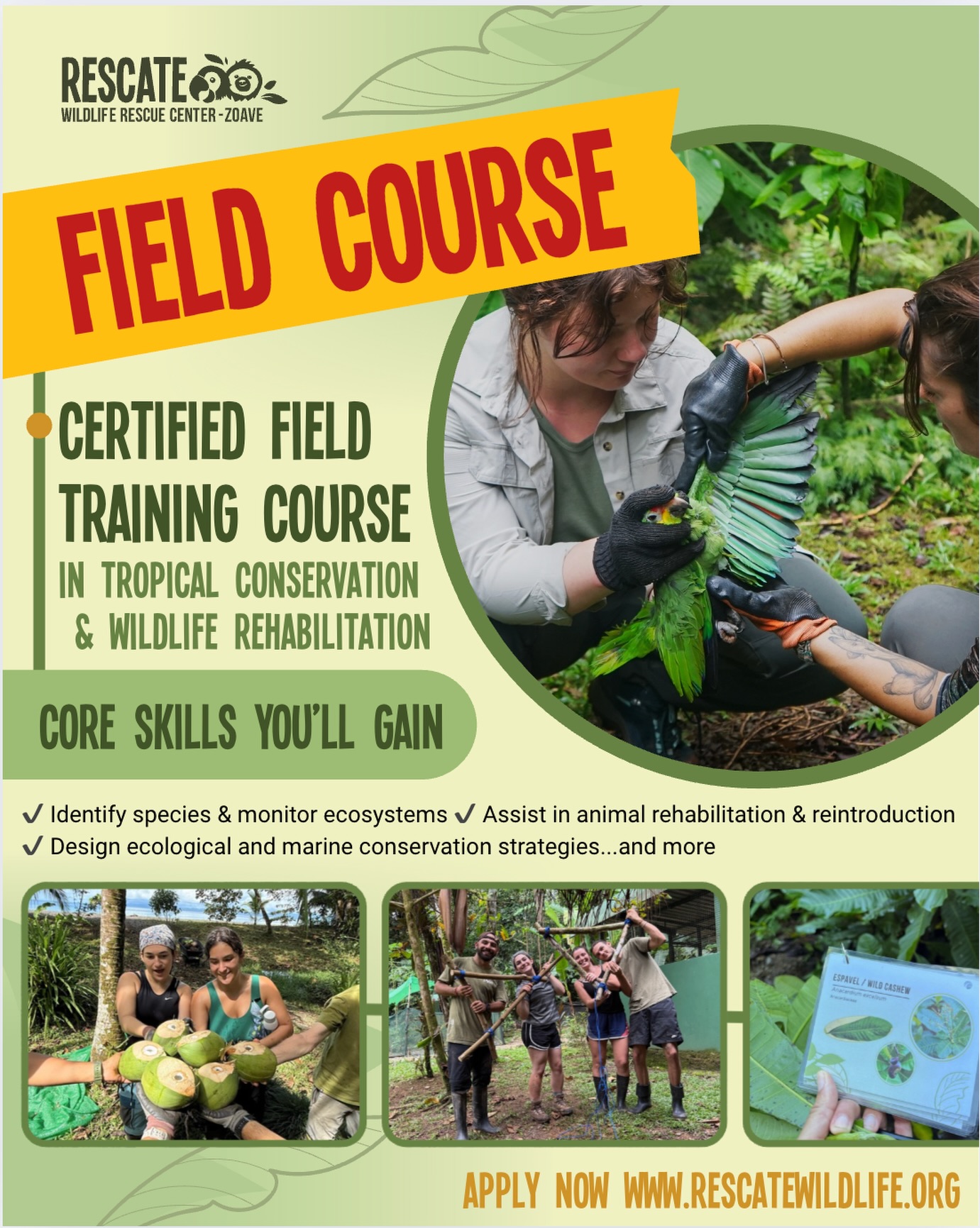 Rescate - 🔥SECOND EDITION 2026 applications now open! 🌿 Certified Field ...
