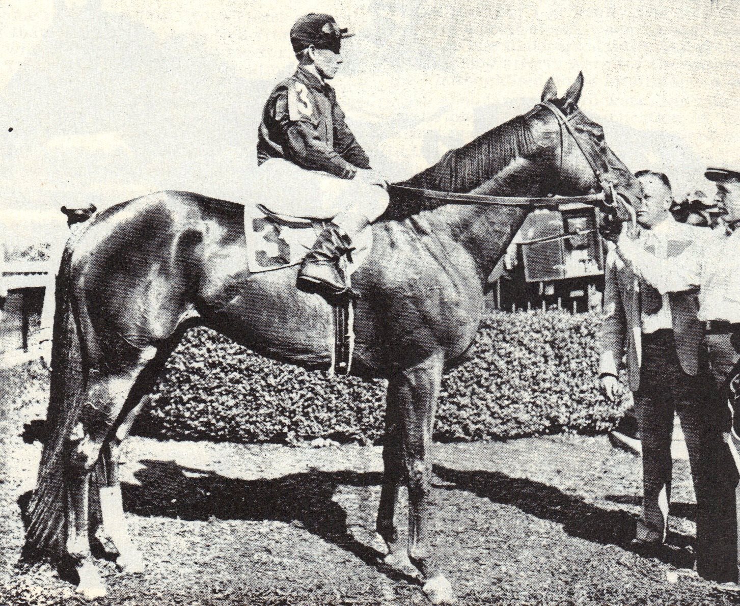 Horse Racing History