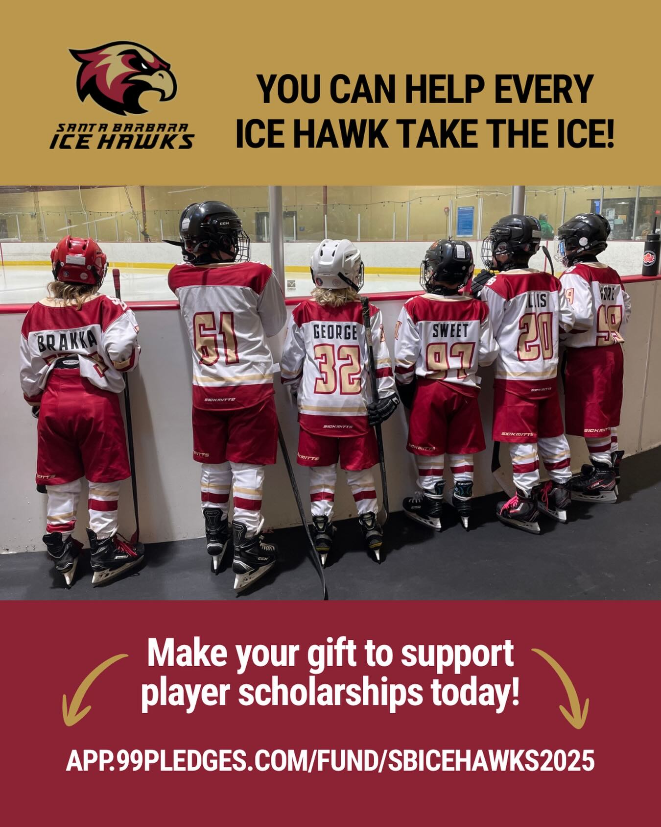 Santa Barbara Ice Hawks Goleta Ca