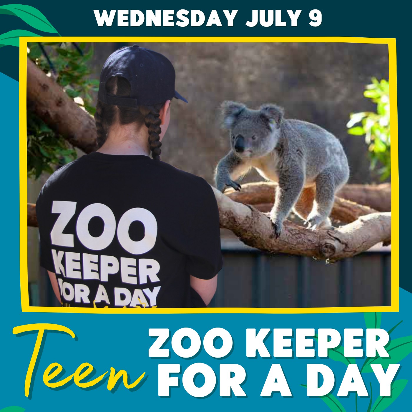 Billabong - 🐵 Teen Zoo Keeper for a Day Behind-the-scenes access ...