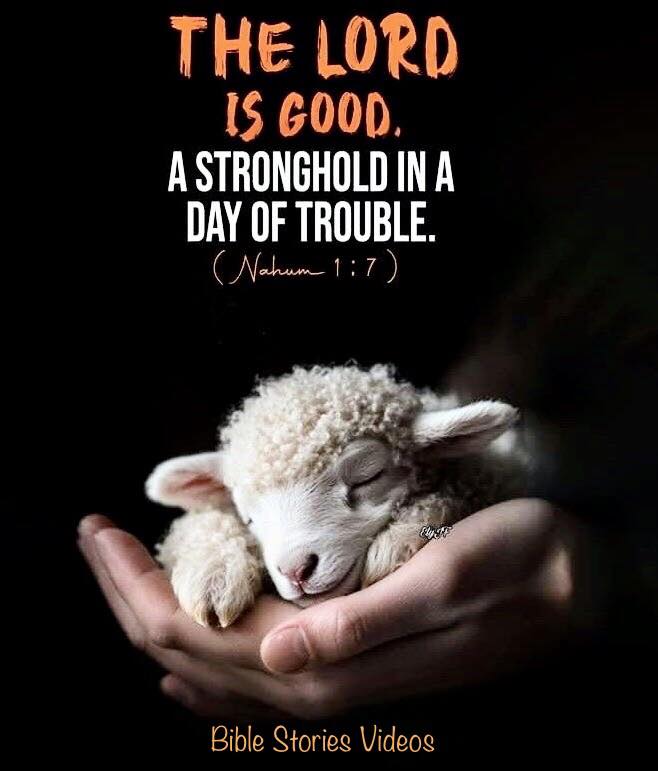 BIBLE - "The Lord is good, a refuge in times of trouble. He cares for ...