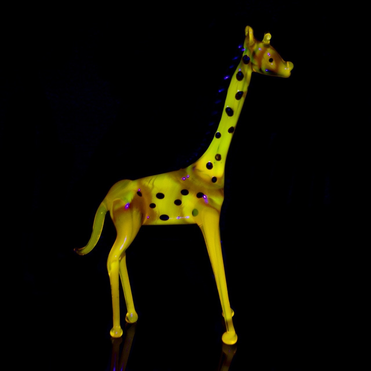 Butterfly Babe