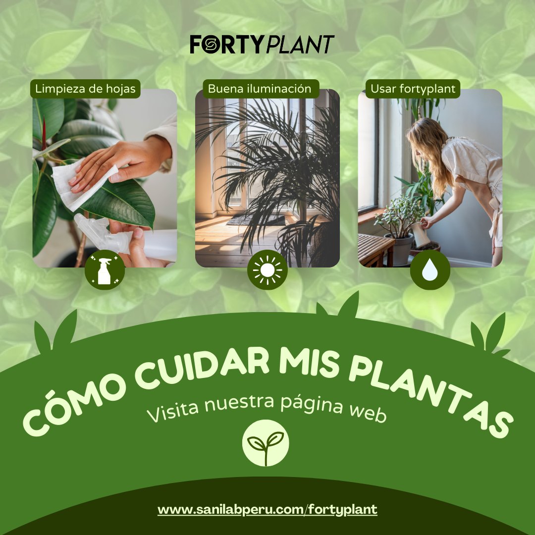 Forty 🌿 ¡cuida Tus Plantas De Manera Sencilla Y Efectiva 🌱 Dale A 4859