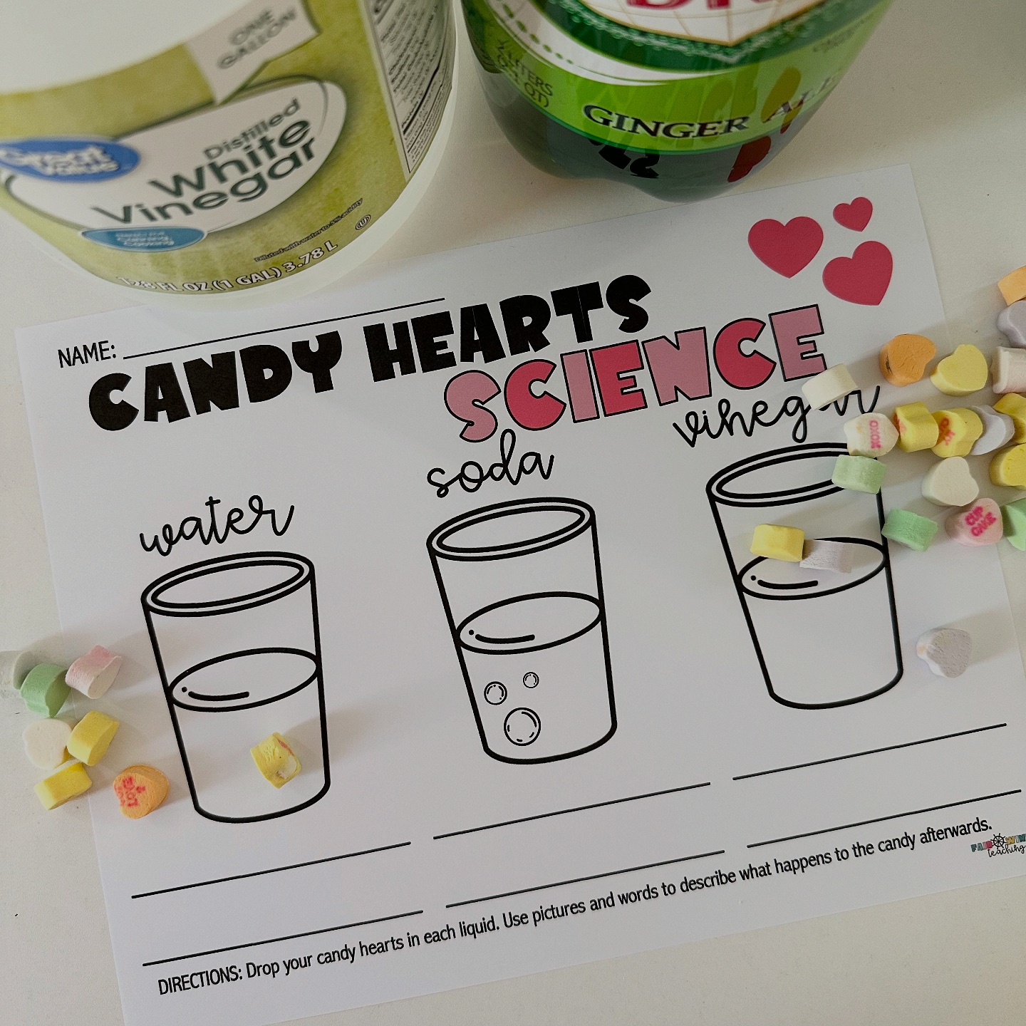 Fair - // Last Minute FREE Science FUN 💕 // Grab this FREEBIE in my TPT ...