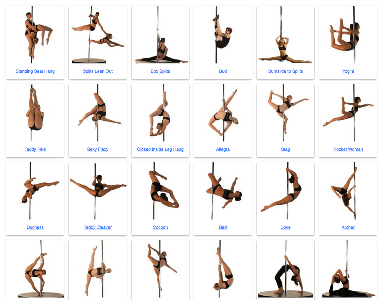 Pole Dance Dictionary 2501