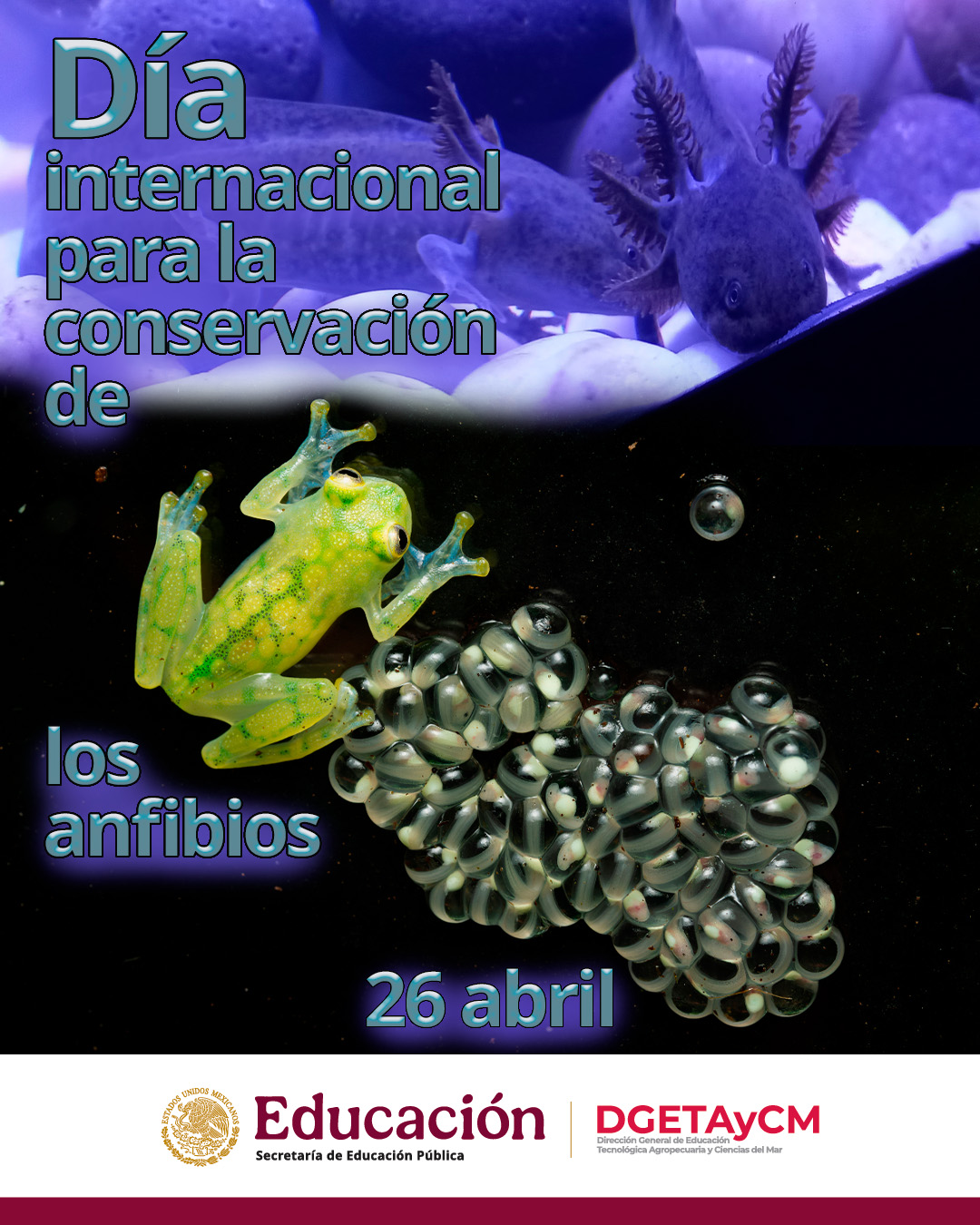 Centro - "26 de abril, Día Internacional para la Conservación de los ...