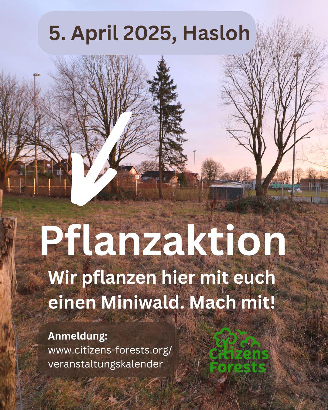 Neues Aus Hasloh