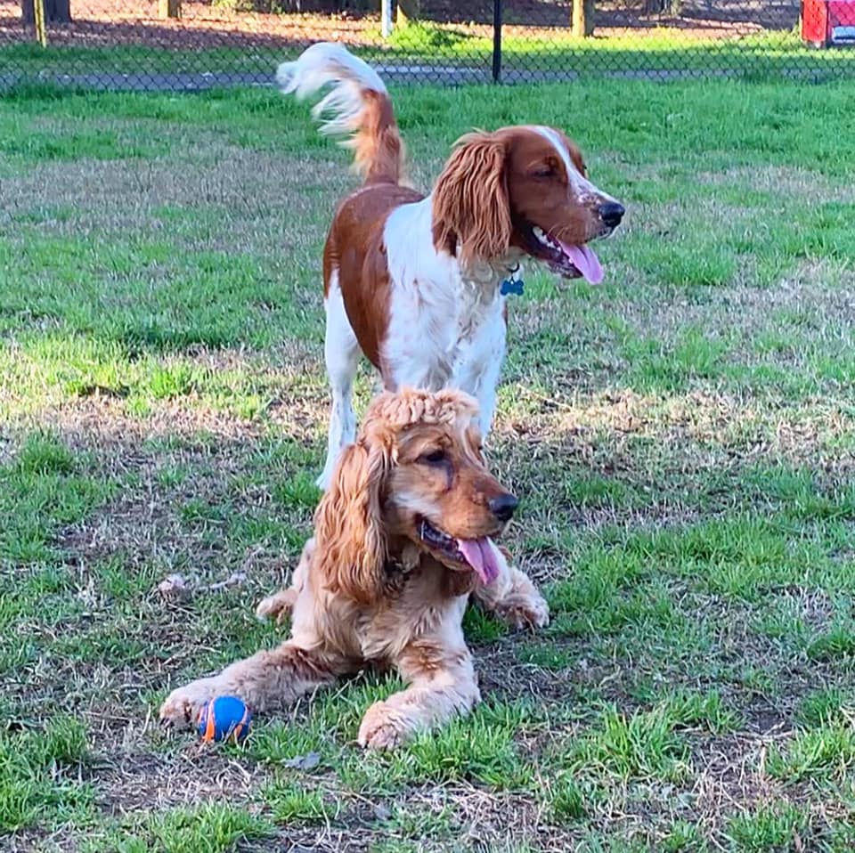 Meet My New Friend Jerry Winston And Betty Cocker