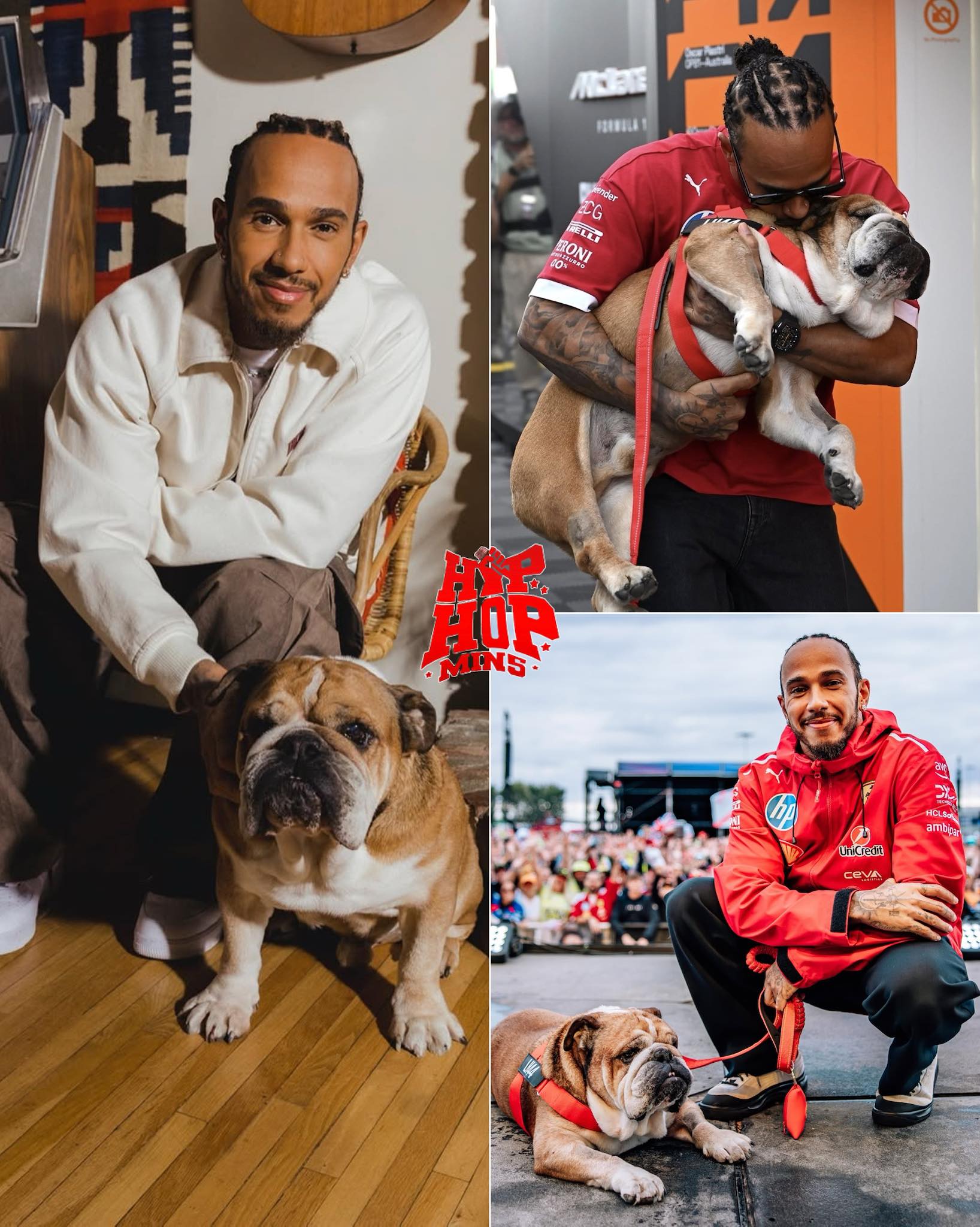 HIP HOP MIN5 - Lewis Hamilton revealed that his dog was... | Facebook