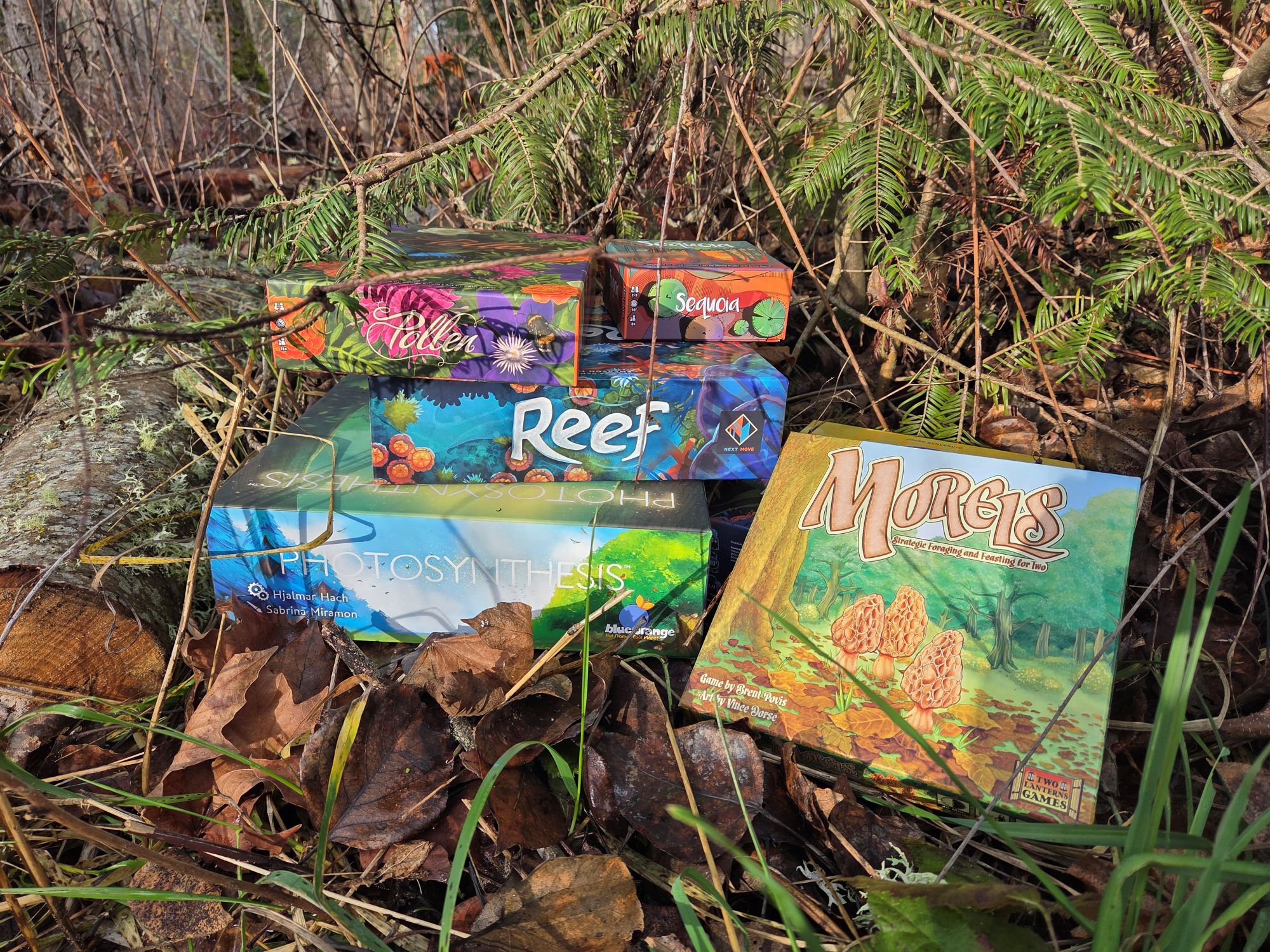 Nature Board Game Evening (Free!)