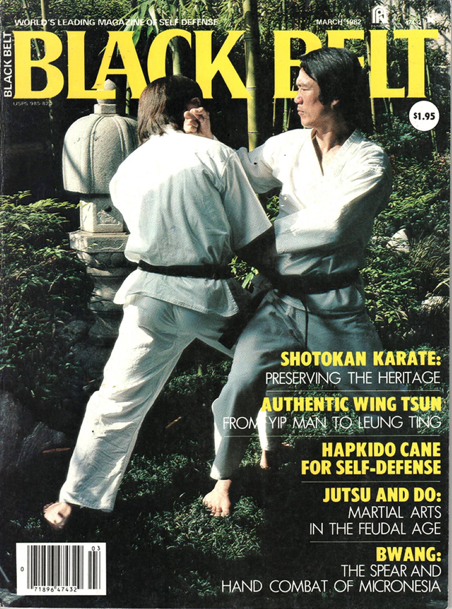 Wing This March 1982 Issue Of Black Belt Has My First Article On Wing
