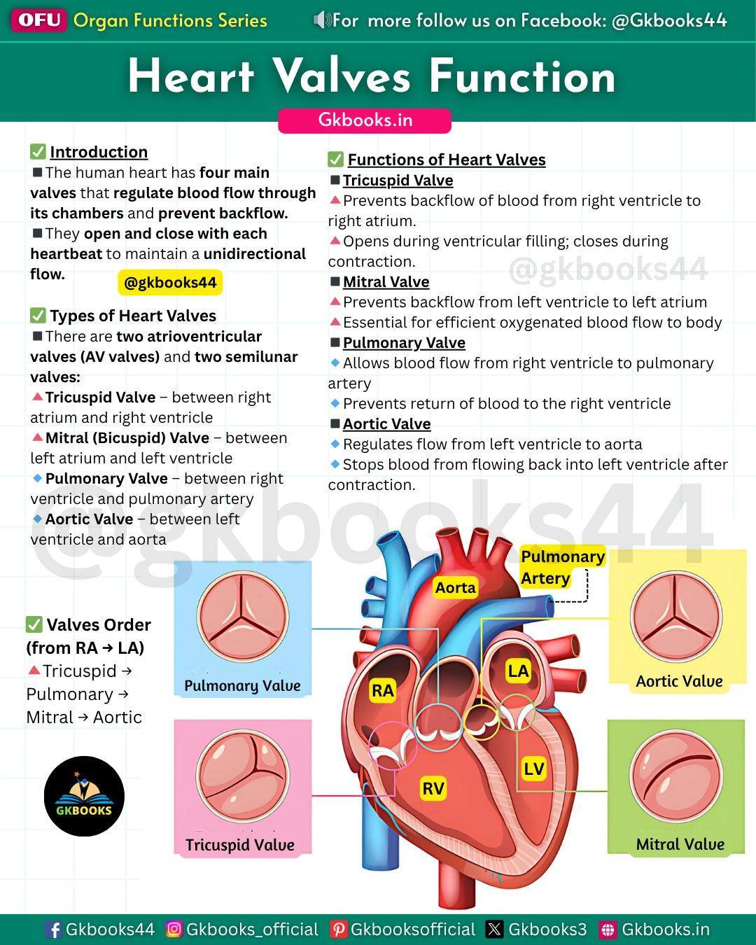 InfoPic Notes - Heart Valves: Types, Functions & Blood... | Facebook
