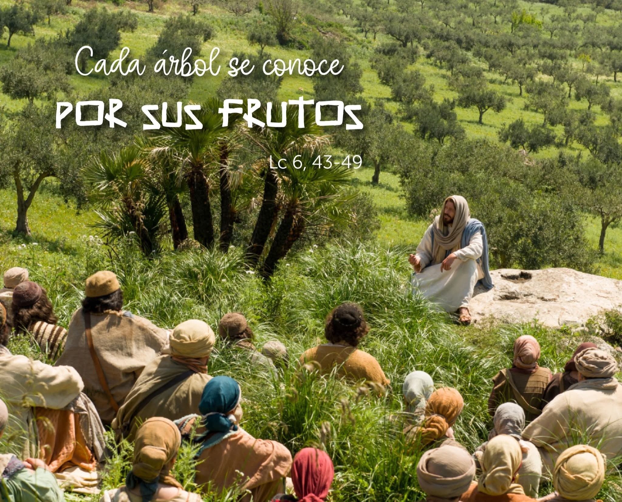 Renovación Del Evangelio Según San Lucas 6 43 49 En Aquel Tiempo