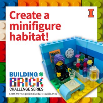 Illinois - The December Building Bricks Challenge Series is on! 4-Hers ...