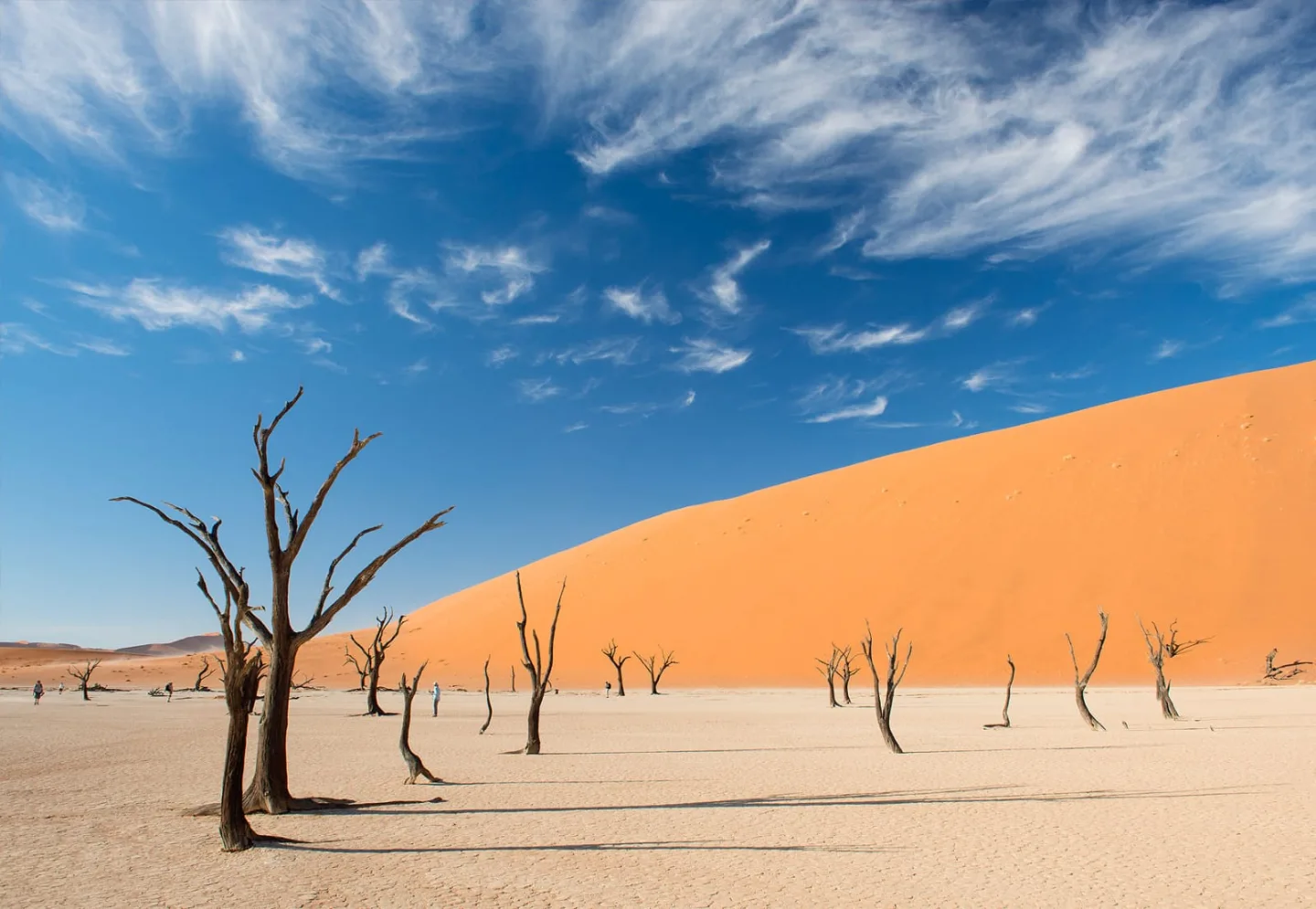 自由族 - 🇿🇦 Experience the Majestic Namib Desert! #探索古老的納米布沙漠 🏜️ ...