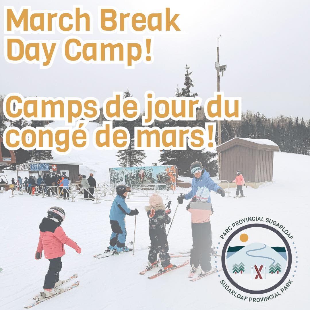 ️March Break Ski & Snowboard Day... - Parc Sugarloaf Park