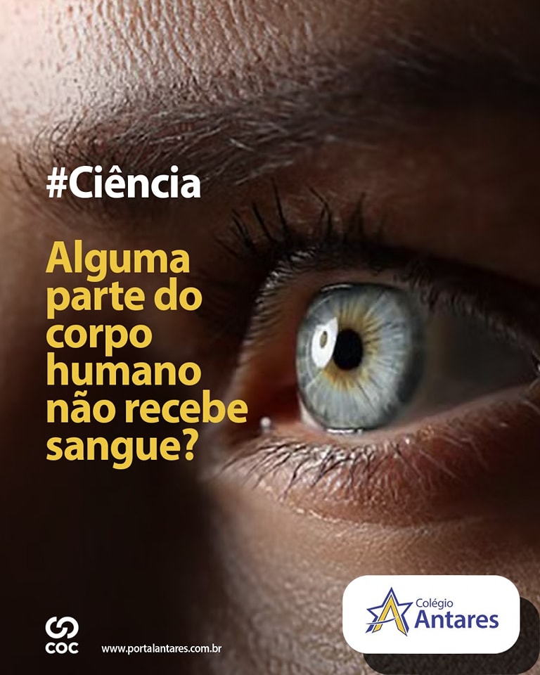 Colégio Além Das Partes Compostas Por Células Mortas Apenas Uma