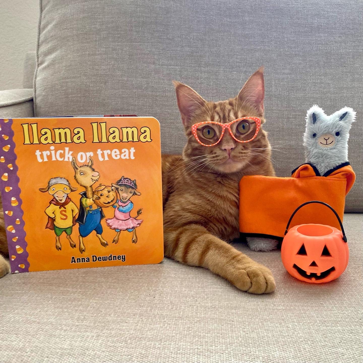 Tiger - We picked a great Halloween storybook! 🎃📙 | Facebook