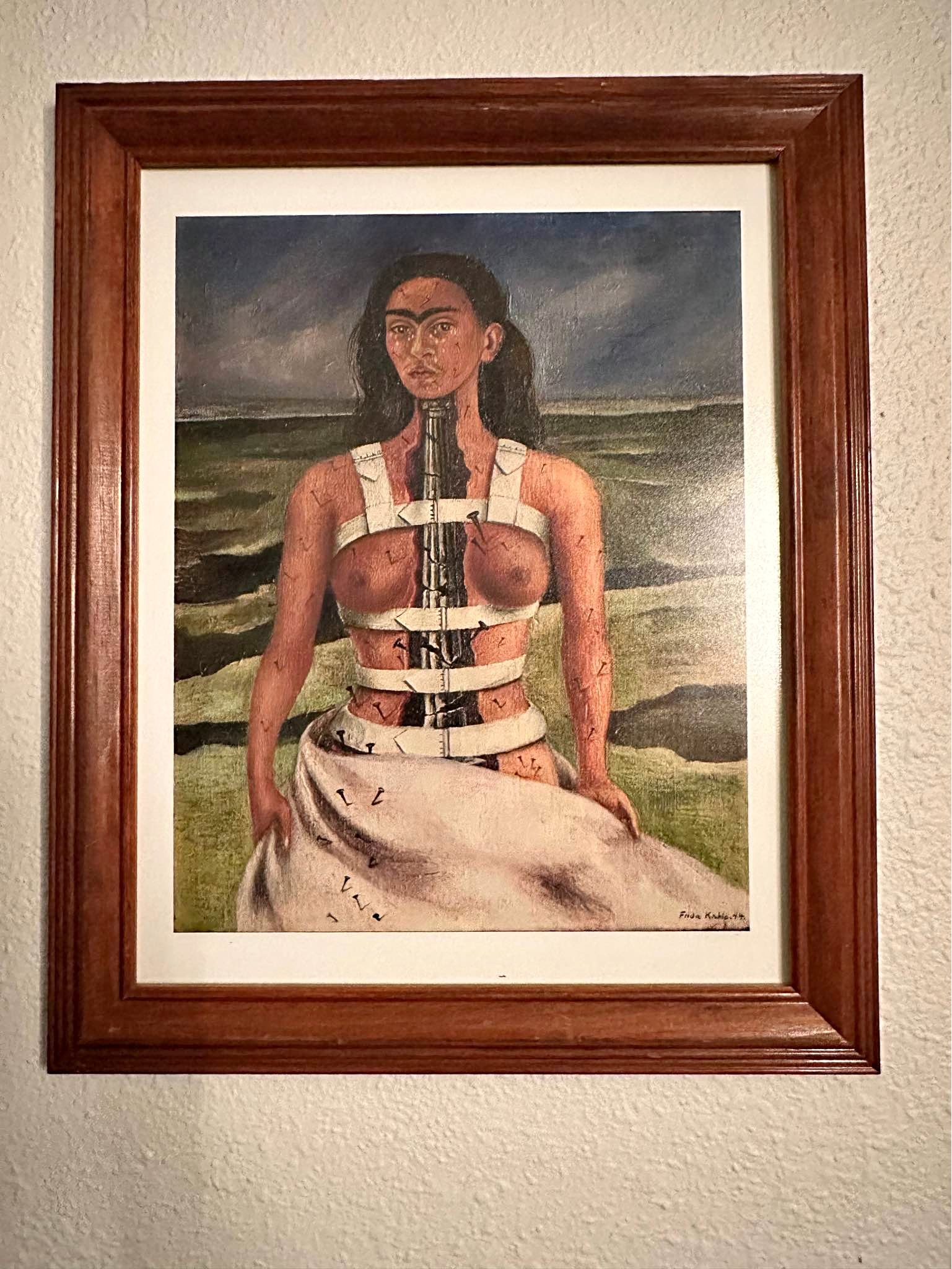 Framed Art Print Frida Kahlo “the Broken Column” Posters Prints 3270