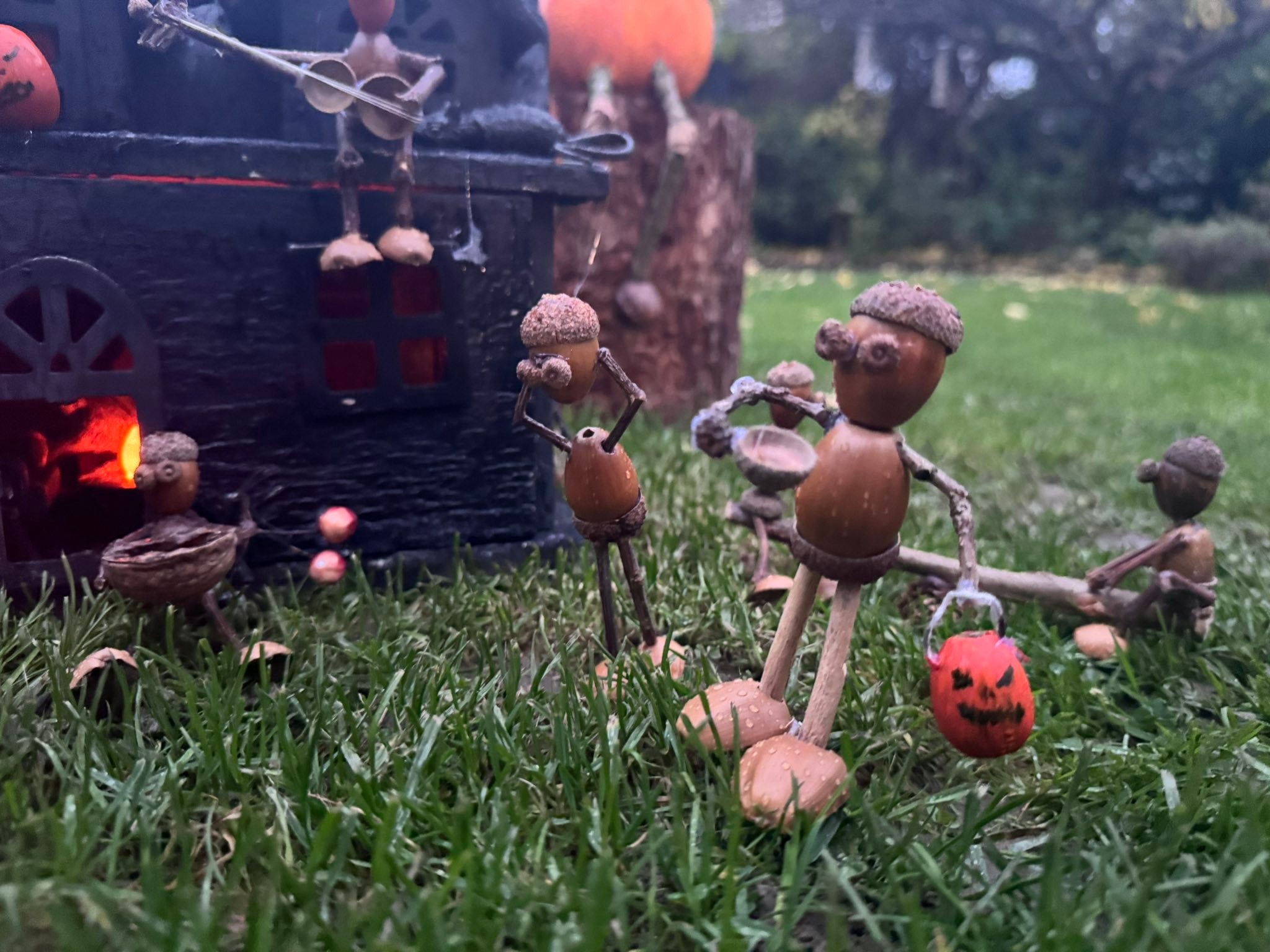 Adventures of the Acorn... - Adventures of the Acorn People