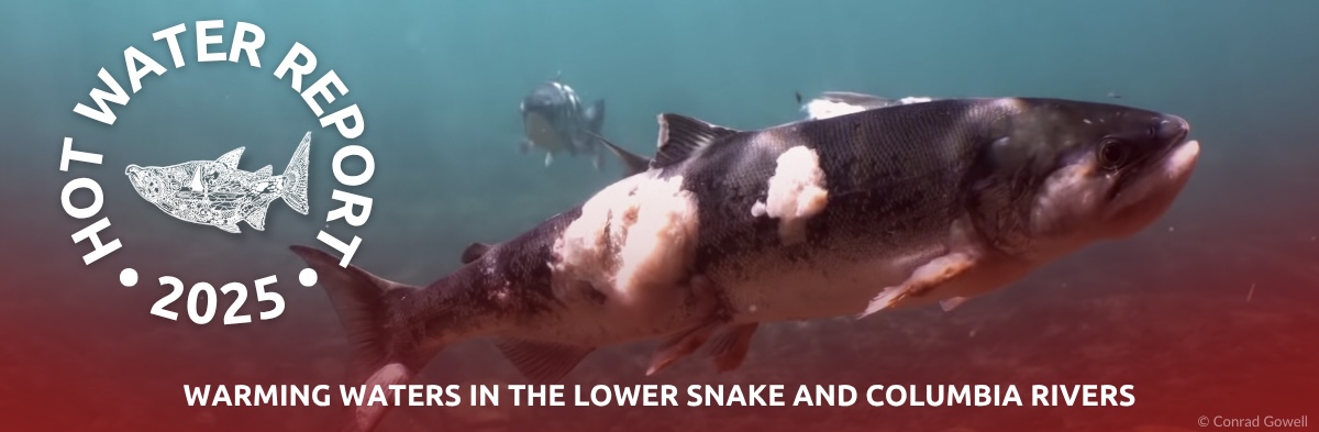 National - The Hot Water Report: Issue 2 dives into how the lower Snake ...