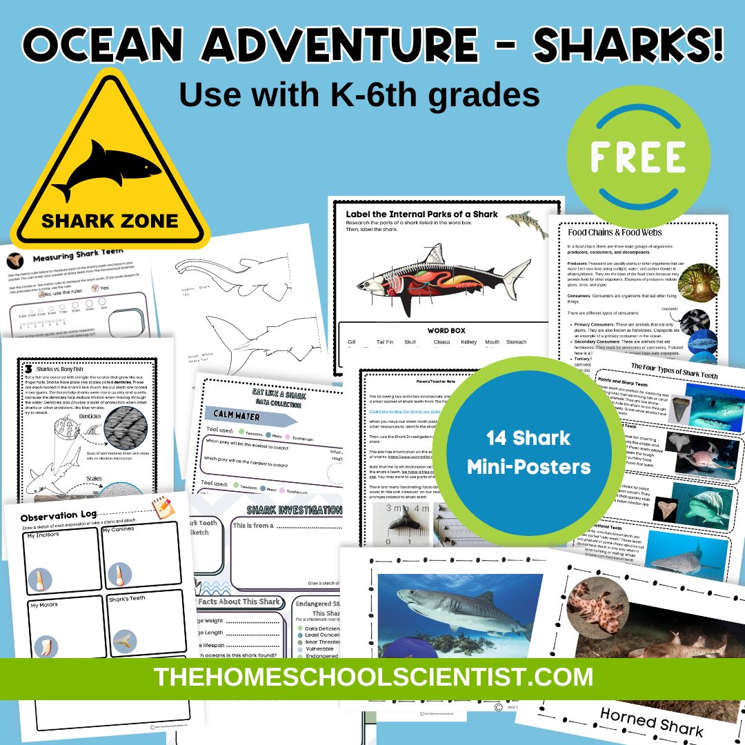 It's Shark Week! Download our... - The Homeschool Scientist
