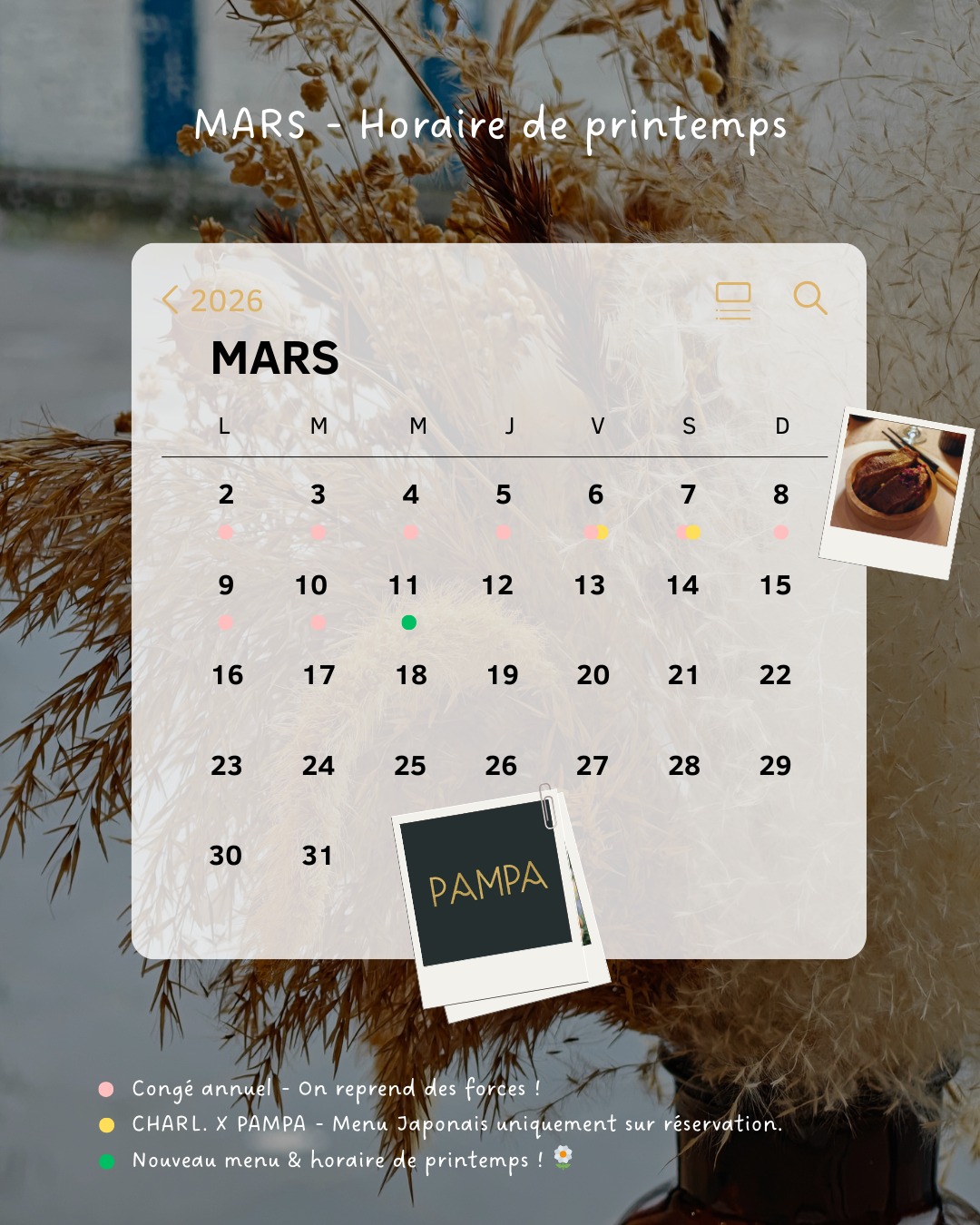 PAMPA - 📆 Le planning des prochaines semaines : - Du 1 au 10 mars ...