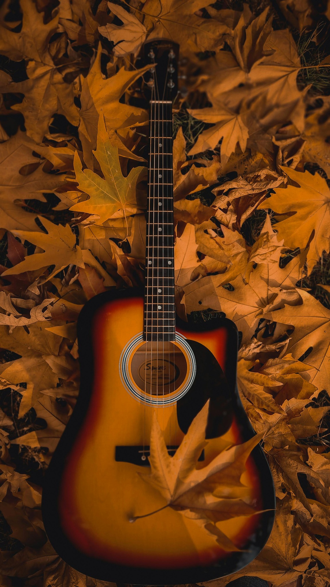 Fall Concert Series at The Farmstead